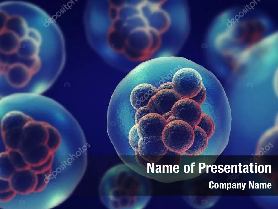 Egg Cells PowerPoint Template - Egg Cells PowerPoint Background