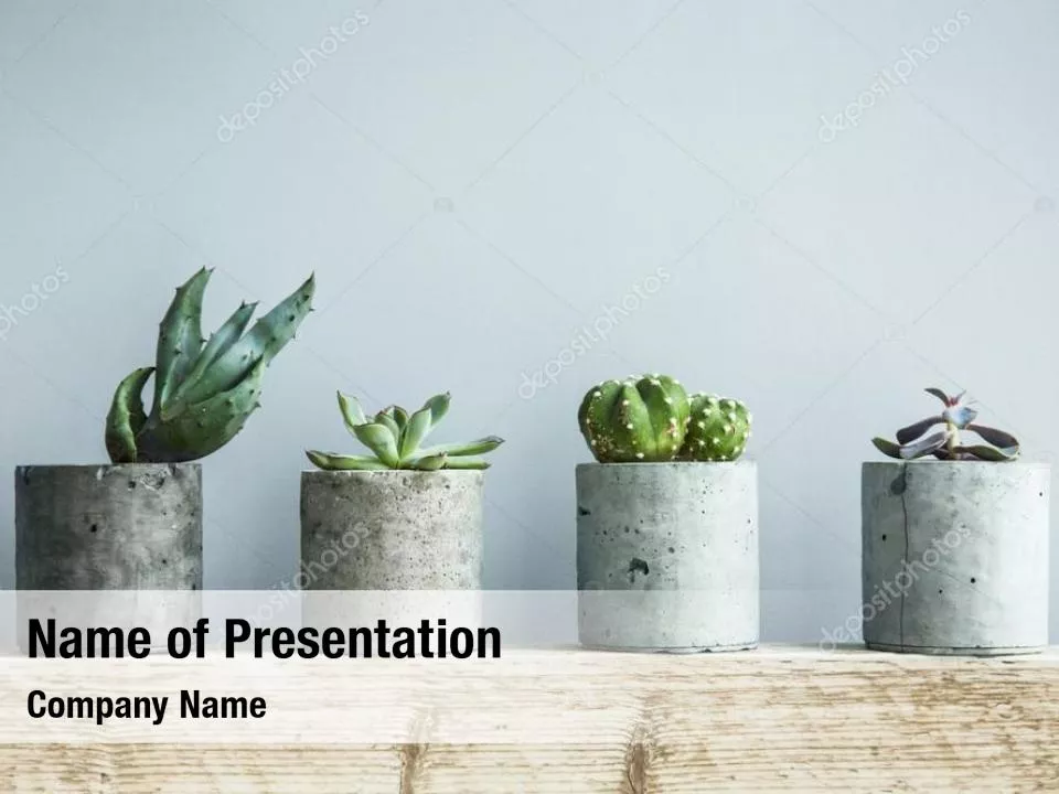 Pot Plants PowerPoint Template - Pot Plants PowerPoint Background
