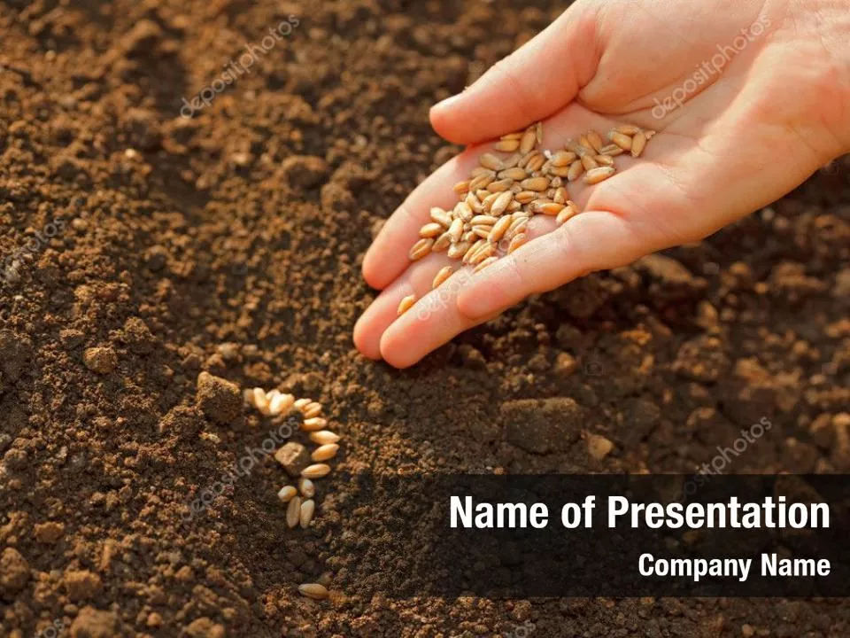 Seed PowerPoint Template - Seed PowerPoint Background