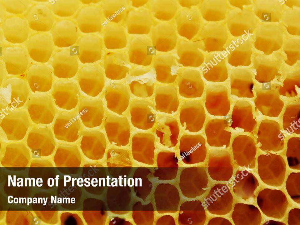 Beehive comb fresh honey PowerPoint Template - Beehive comb fresh honey ... Beehive comb fresh honey PowerPoint Template - Beehive comb fresh honey ...