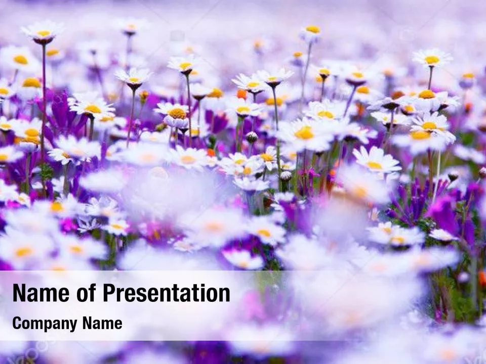 Spring Background PowerPoint Template - Spring Background PowerPoint ...