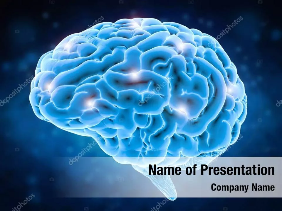 Cerebral Cortex Powerpoint Template Cerebral Cortex Powerpoint Background